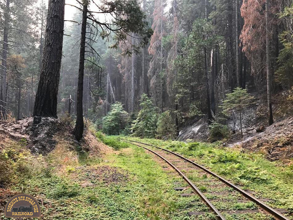 Photo Gallery | Yosemite Mountain Sugar Pine Railroad
